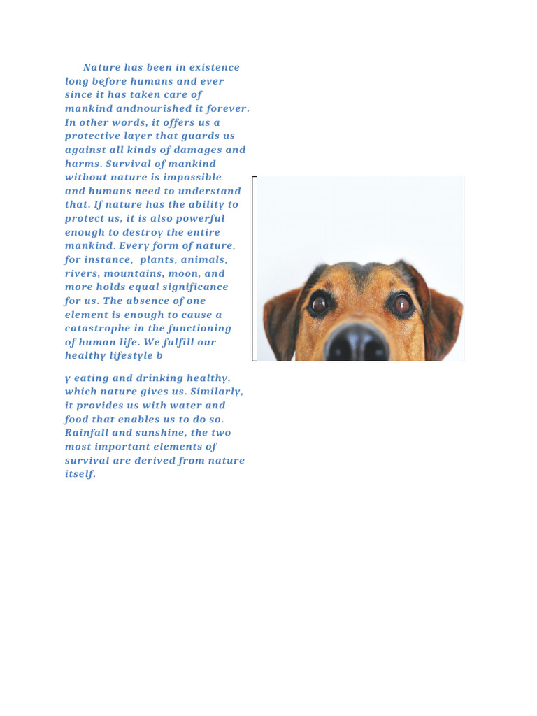 Ms Word Phase 2 (1) Ajis | PDF