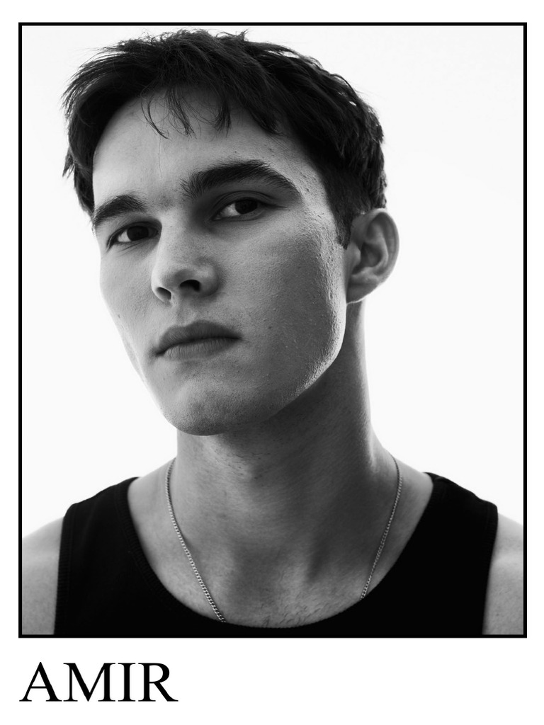 AMIR PDF | PDF