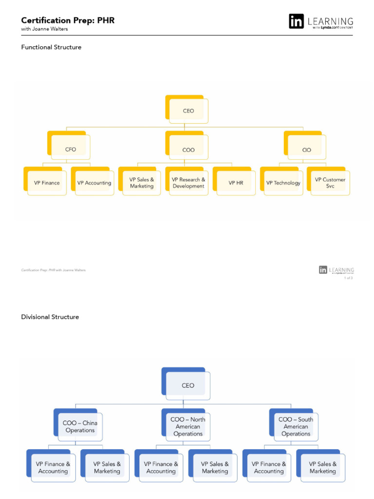 Organizational Structures | PDF
