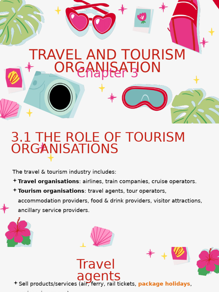 Role of Travel & Tourism Organizations | PDF | Public Transport | Transport