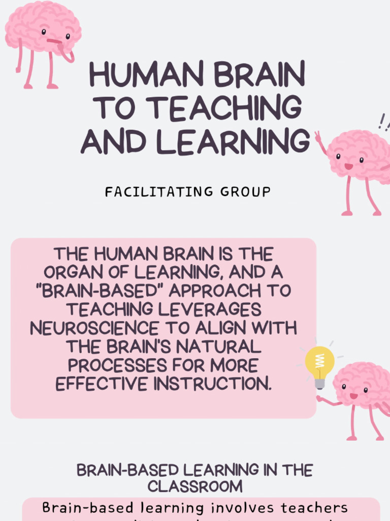 Human Brain To Teaching and Learning | PDF