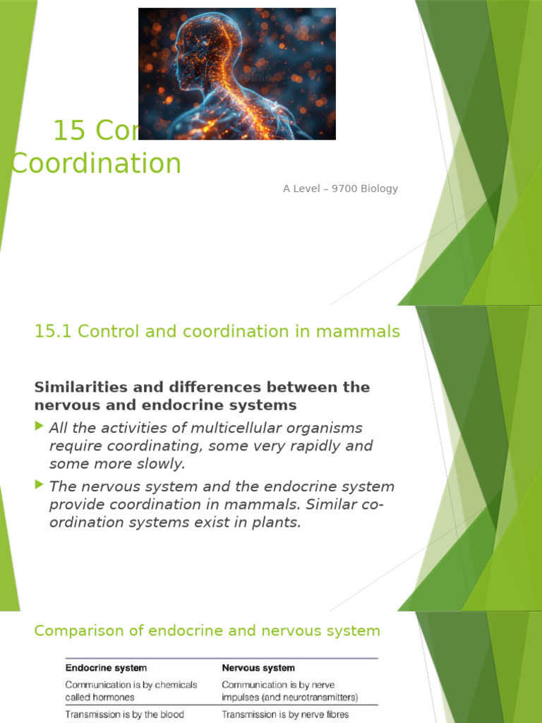 15 Control And Coordination Pdf Action Potential Axon