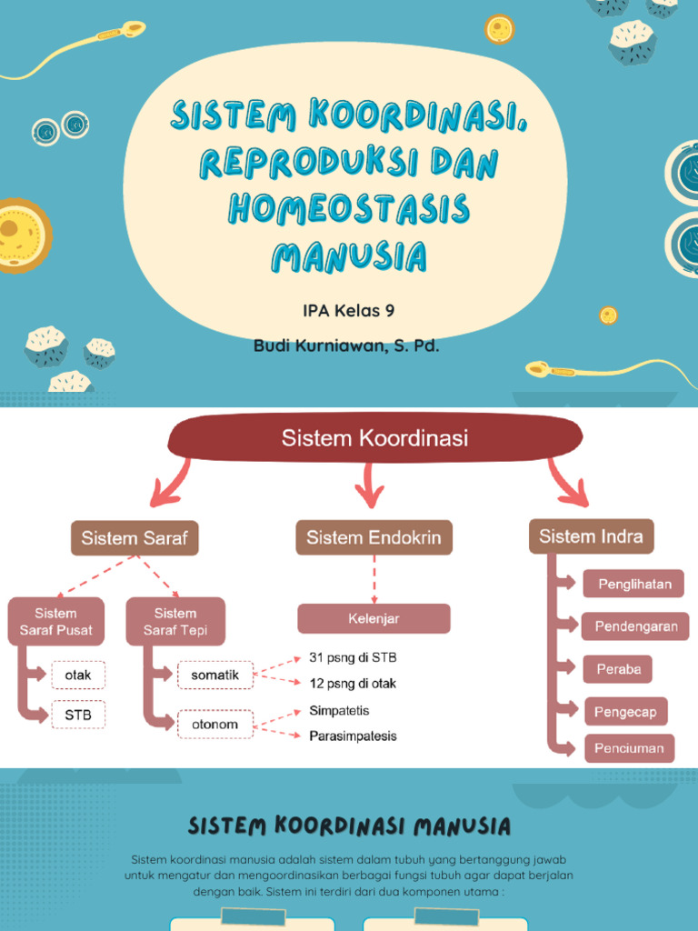 Sistem Koordinasi, Reproduksi Dan Homeostasis Manusia - 20250923 - 181440 - 0000 | PDF