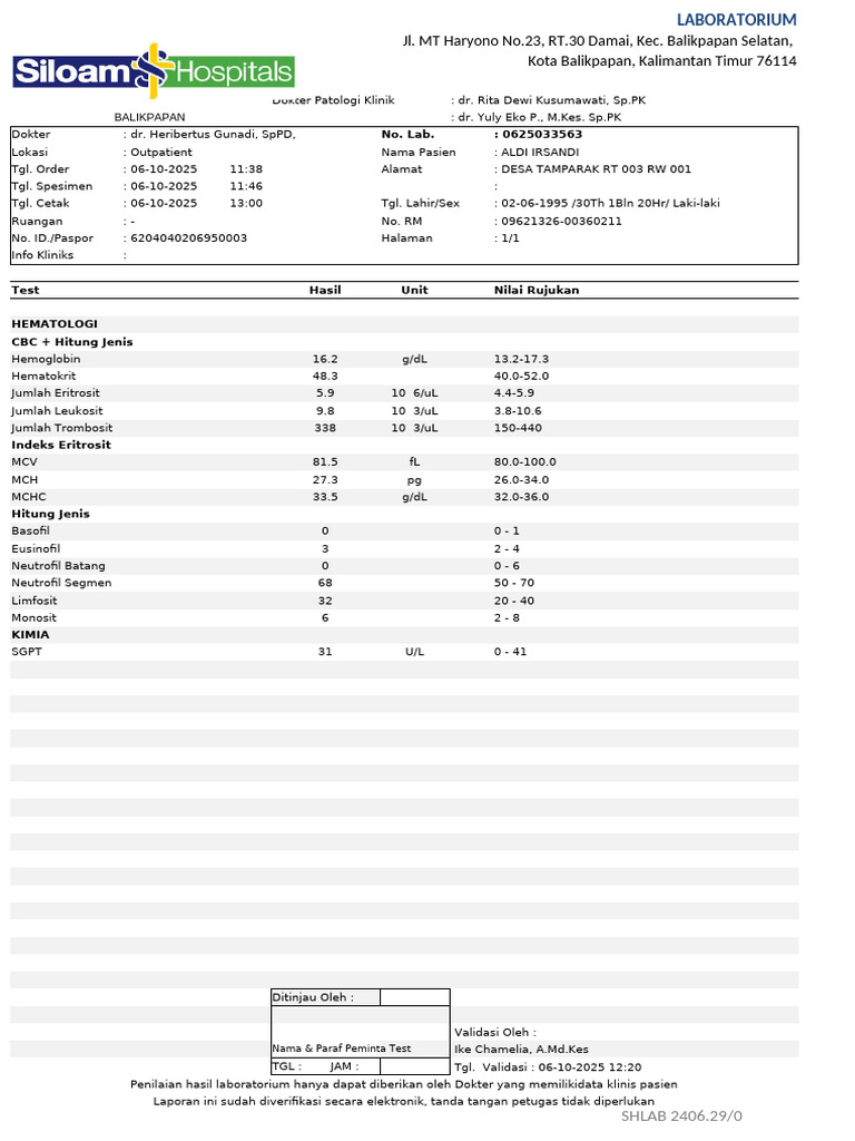 Hasil Laboratorium Pasien Aldi Irsandi | PDF