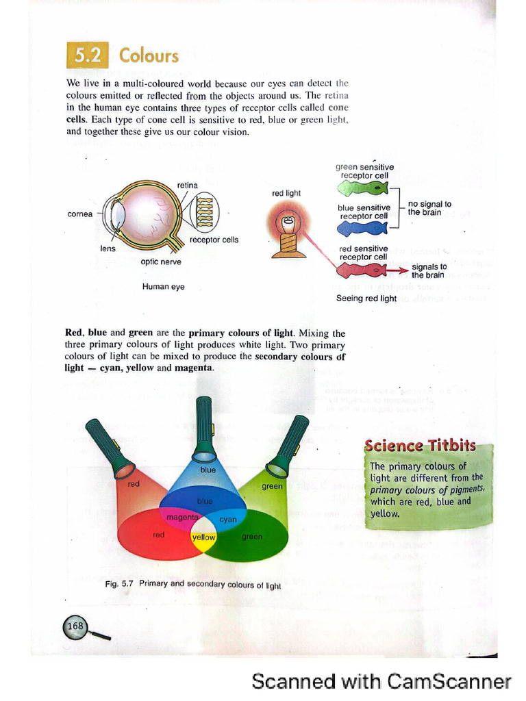 Physics - Colours | PDF