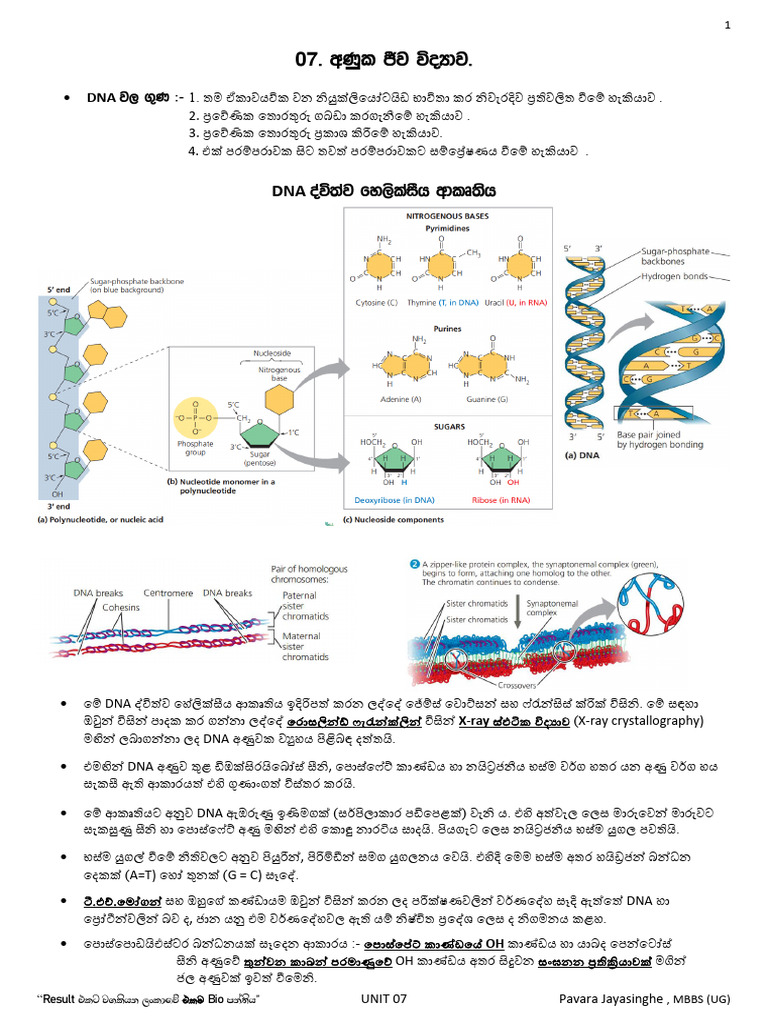 Unit 7 I Molecular Bio I PJ Bio 686518c054c01 73 | PDF