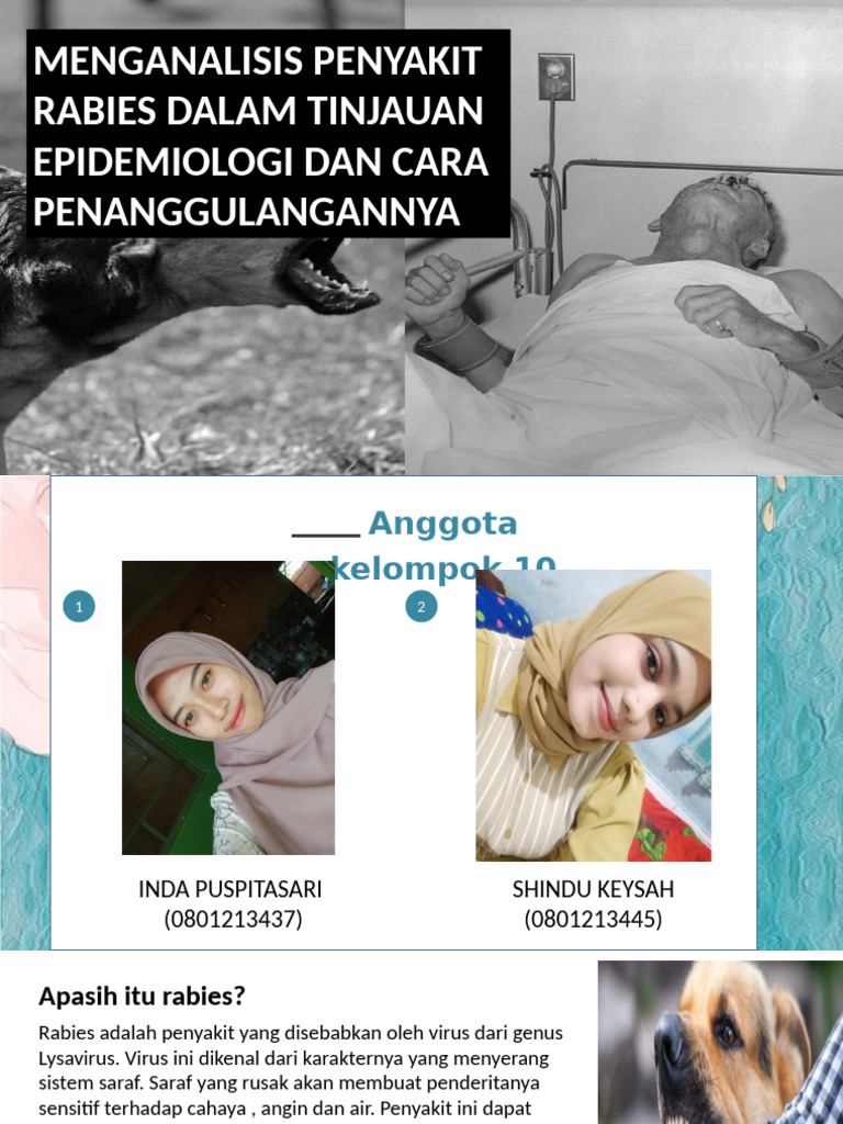 Epidemiologi dan Penanganan Rabies | PDF