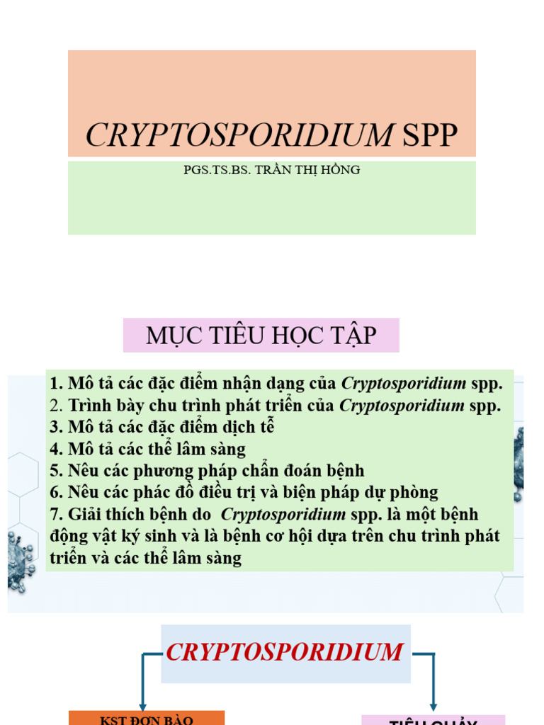 3.2. Cryptosporidium SPP - Final | PDF
