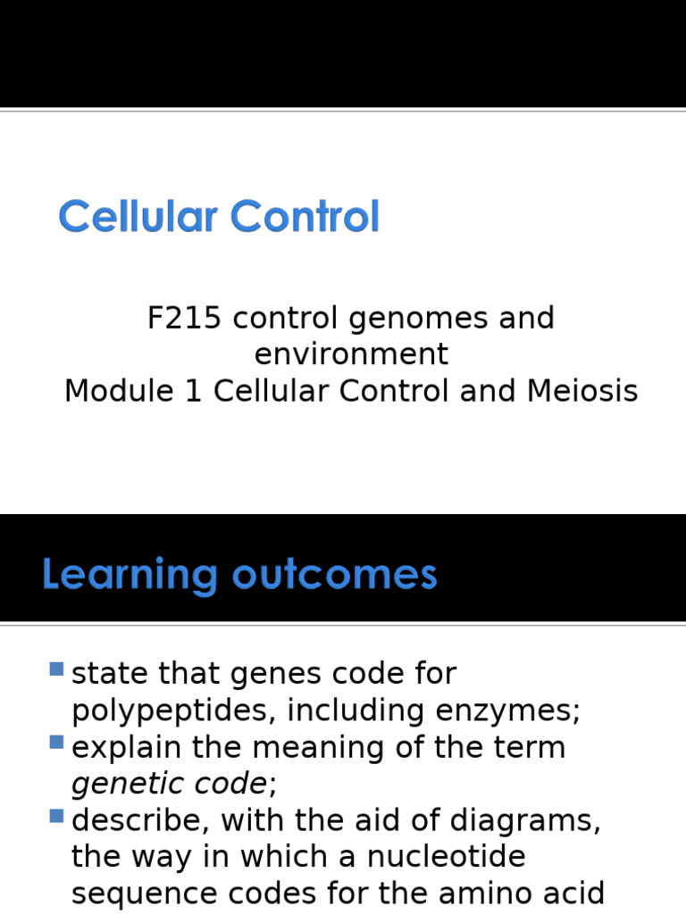 Genetic Control and Mutations Explained | PDF | Operon | Repressor
