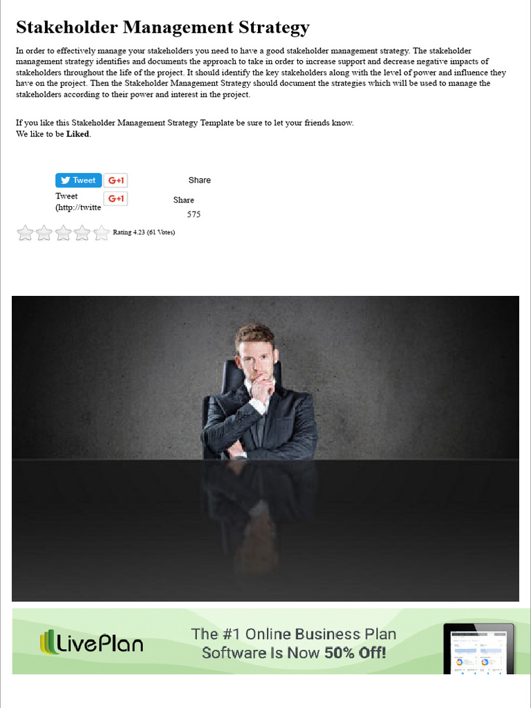 Stakeholder Management Strategy Guide | PDF | Project Management ...