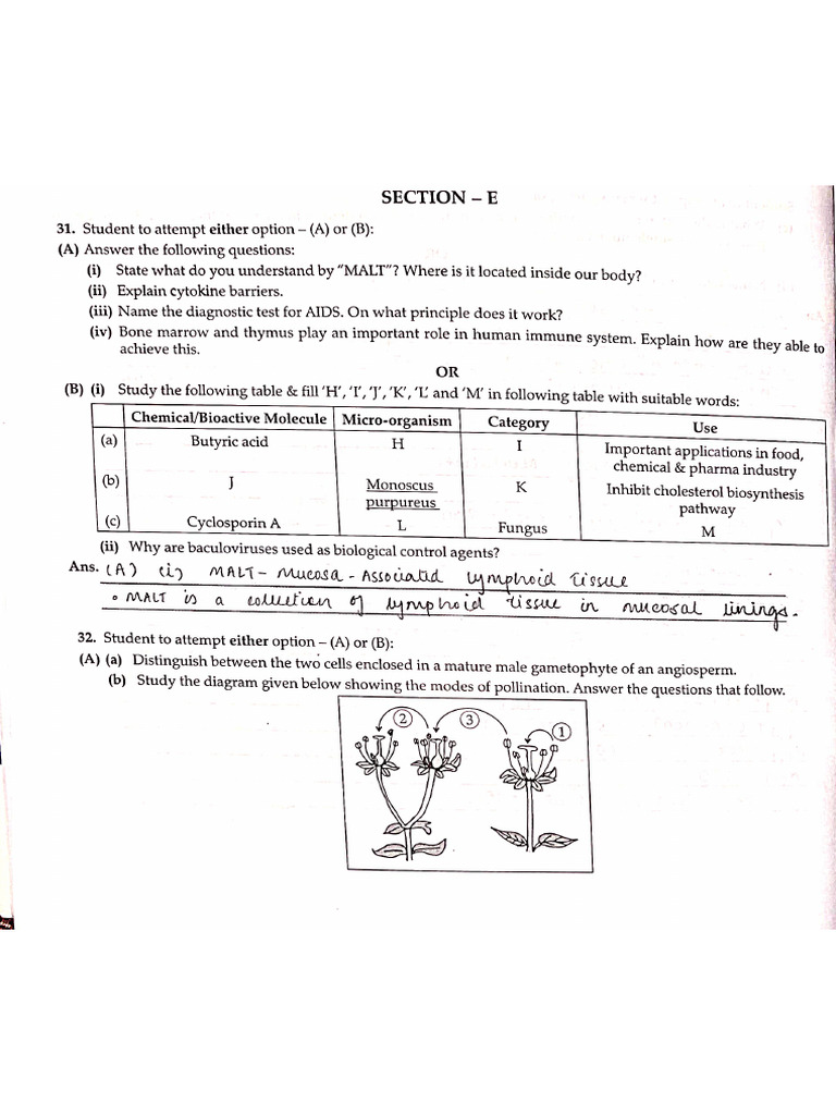 Section E | PDF