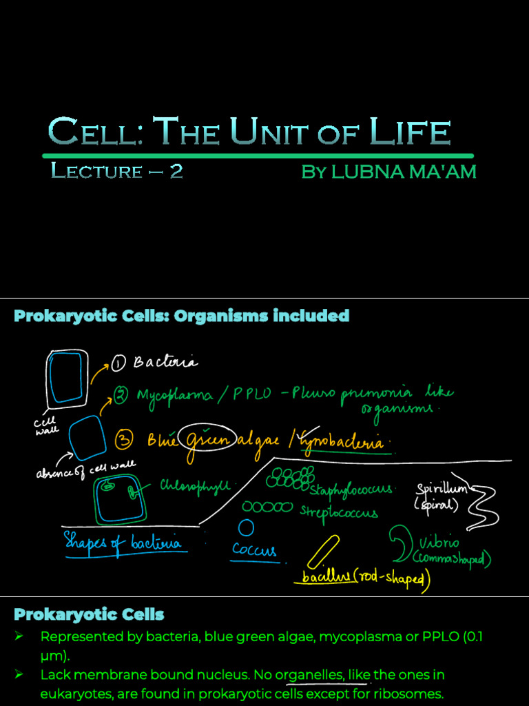 Cell The Unit of Life L02 PDF | PDF | Cell (Biology) | Prokaryote
