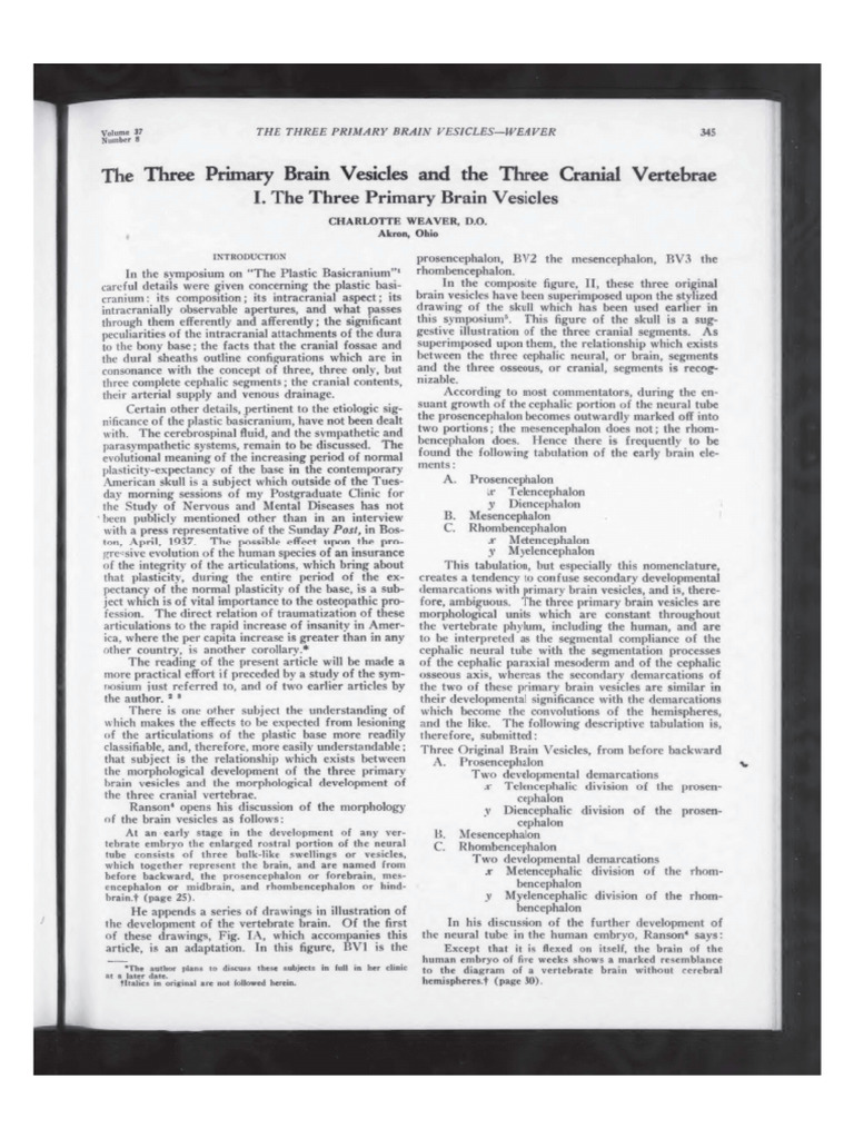8-The Three Primary Brain Vesicles and the Three Cranial Vertebrae, 1-The Three Primary Brain ...