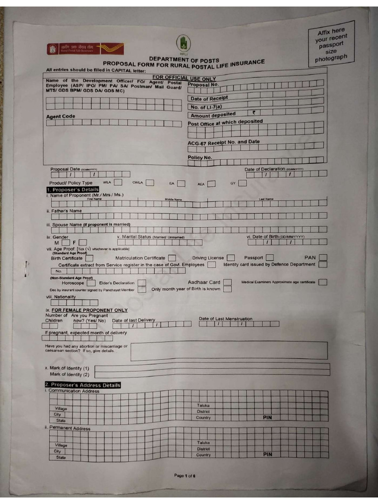 Rpli Form | PDF