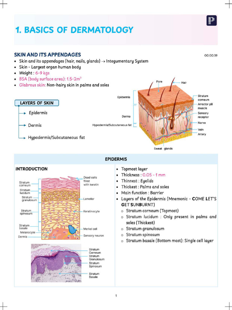 Dermat PrepX. | PDF