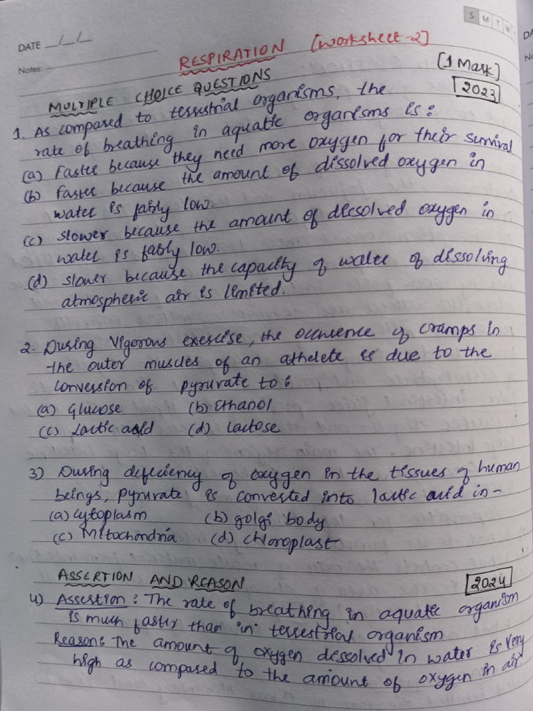 Science Life Processes - Worksheet 2 (Respiration) Class10 | PDF