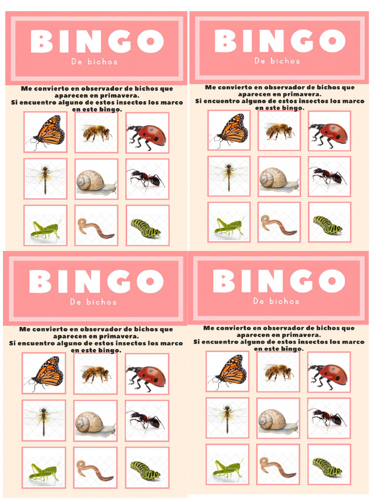 Bingo de Bichos - 060249 | PDF