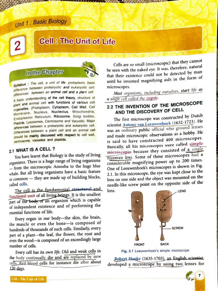Grade 9- ch 2-Cell The unit of life (1) | PDF | Cytoplasm | Cell Nucleus