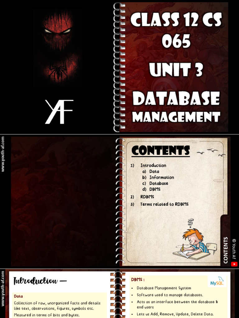 12 CS Database 2025 | PDF | Relational Database | Databases