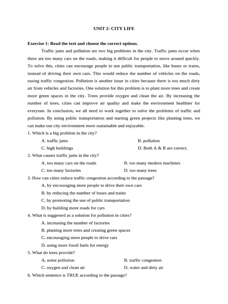 BTVN Unit 2 Reading | PDF | Traffic Congestion | Car