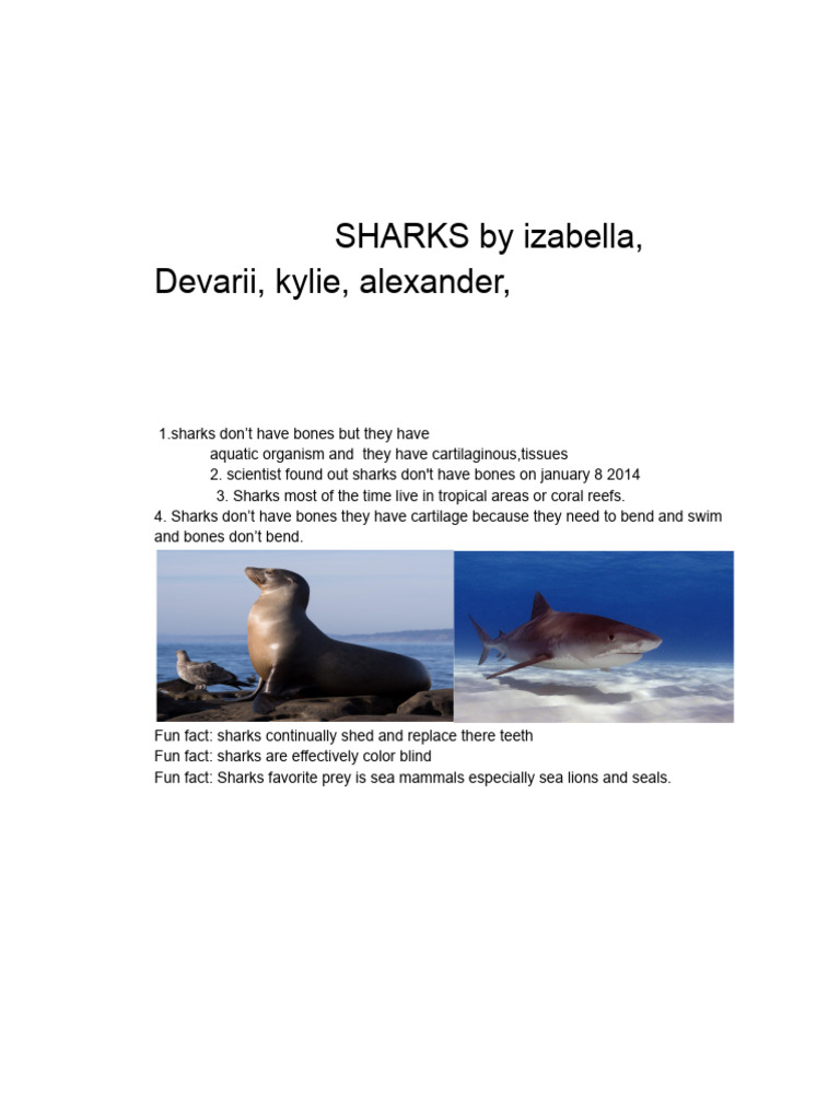 Sharks: Facts About Their Anatomy | PDF