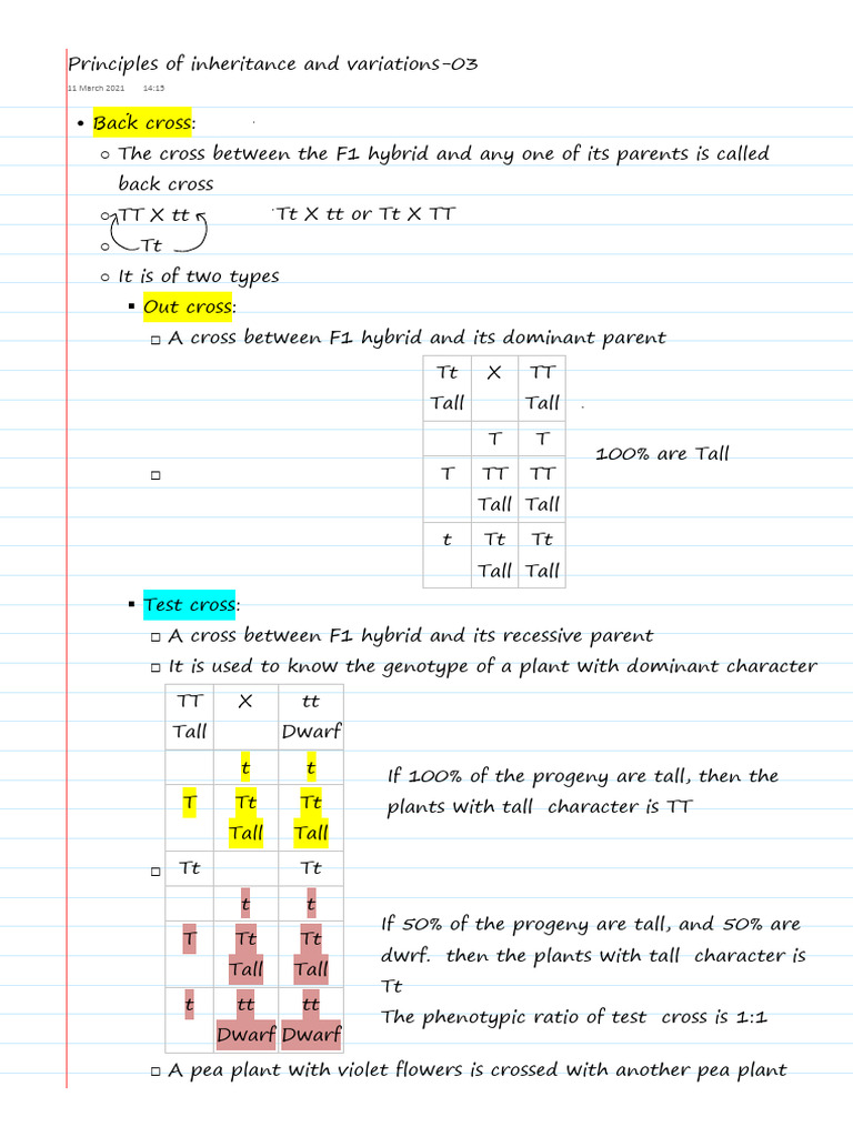 Gentics 03 | PDF