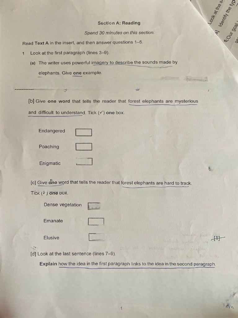 Mid - Term Last Year Paper English Y8-1 | PDF