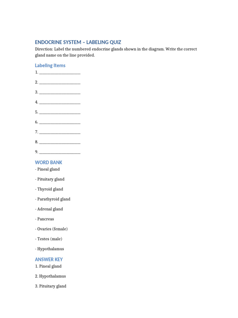 Endocrine Labeling Quiz | PDF