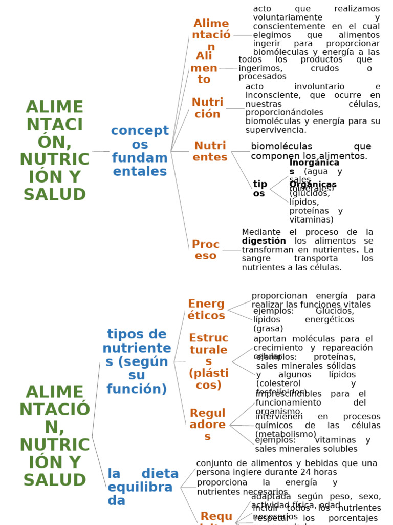 esquema la alimentación | PDF | Nutrientes | Alimentos