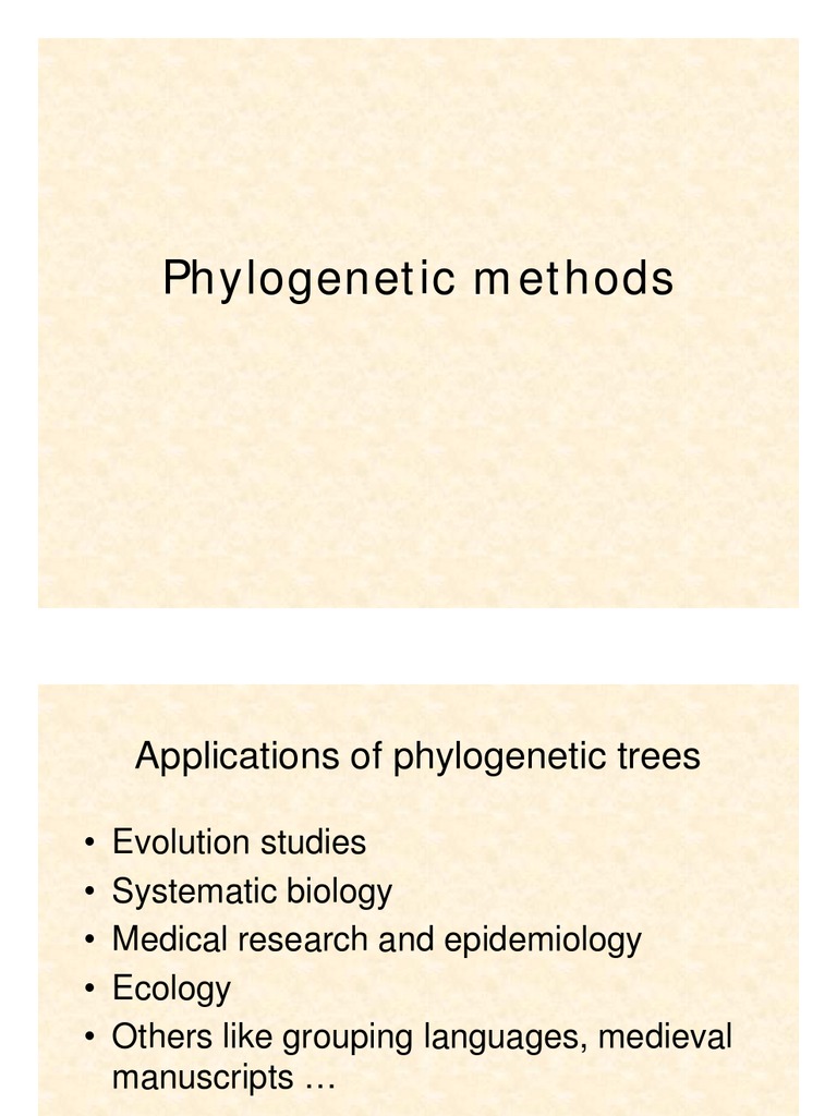 Phylogeny Analysis | PDF | Phylogenetic Tree | Molecular Phylogenetics
