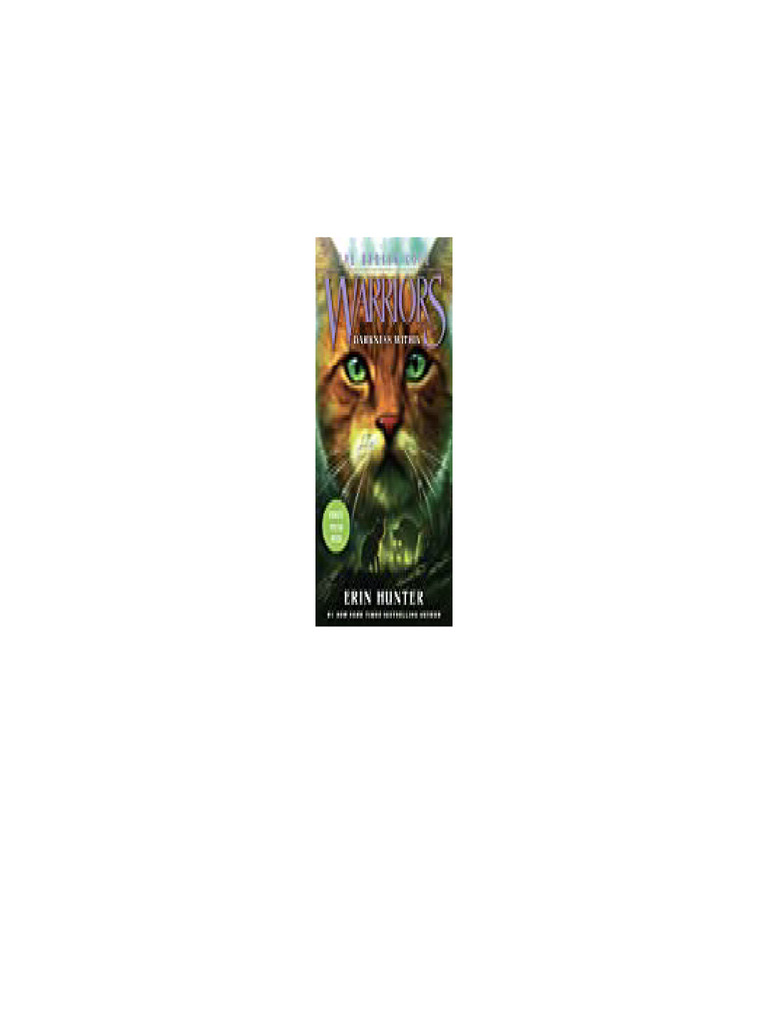 Darkness Within: Warriors Book 4 | PDF | Fantasy Novels | Children's Books