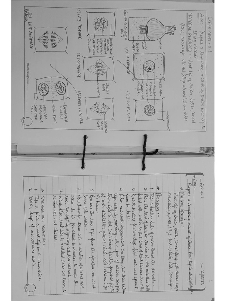 Biology Practical File | PDF