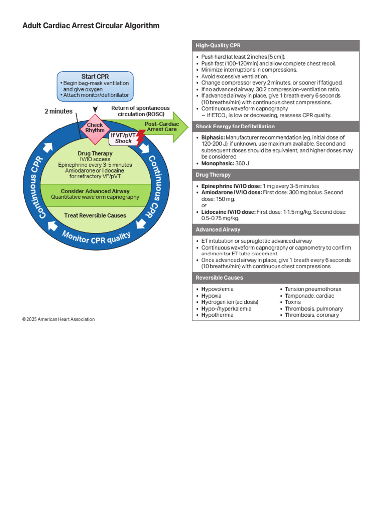 Algorithm ACLS CA Circular 250620 | PDF | Cardiac Arrest ...