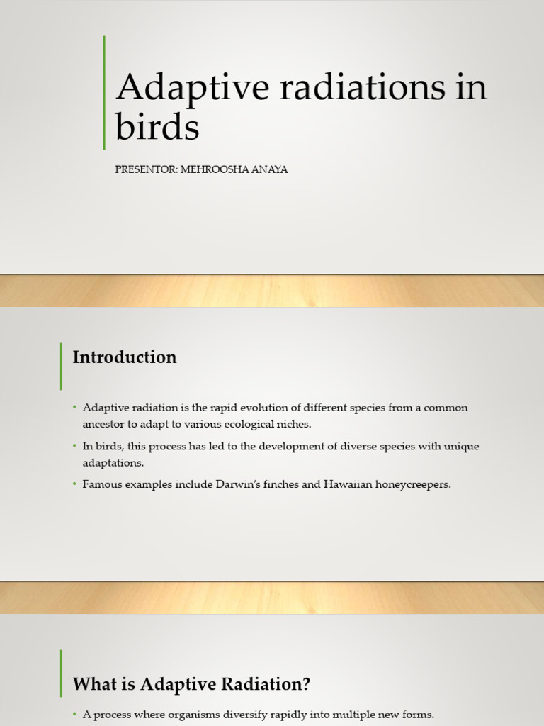 Adaptive Radiations in Birds | PDF