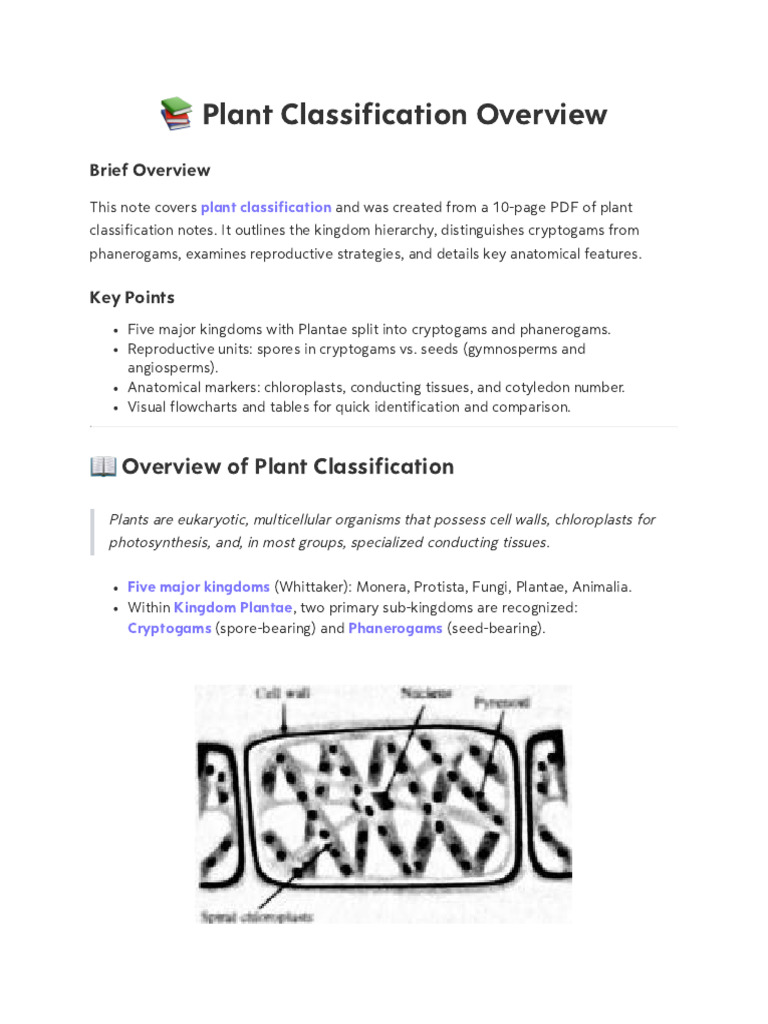 Plant Kingdoms - From Cryptogams To Phanerogams | PDF | Leaf | Seed
