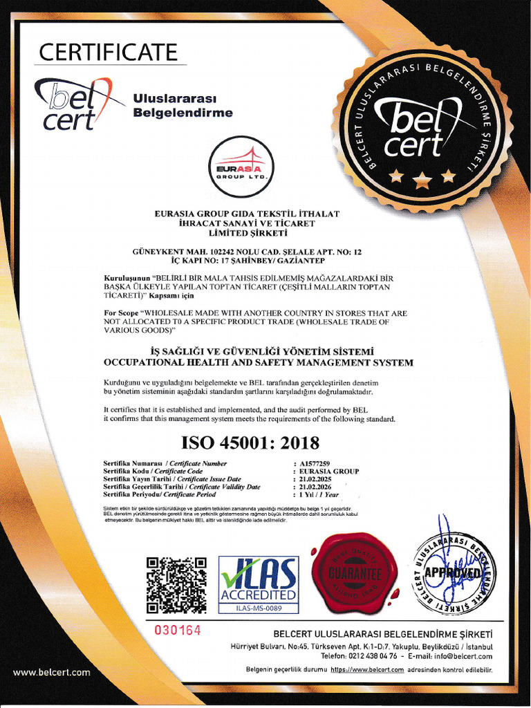 Iso 45001 | PDF
