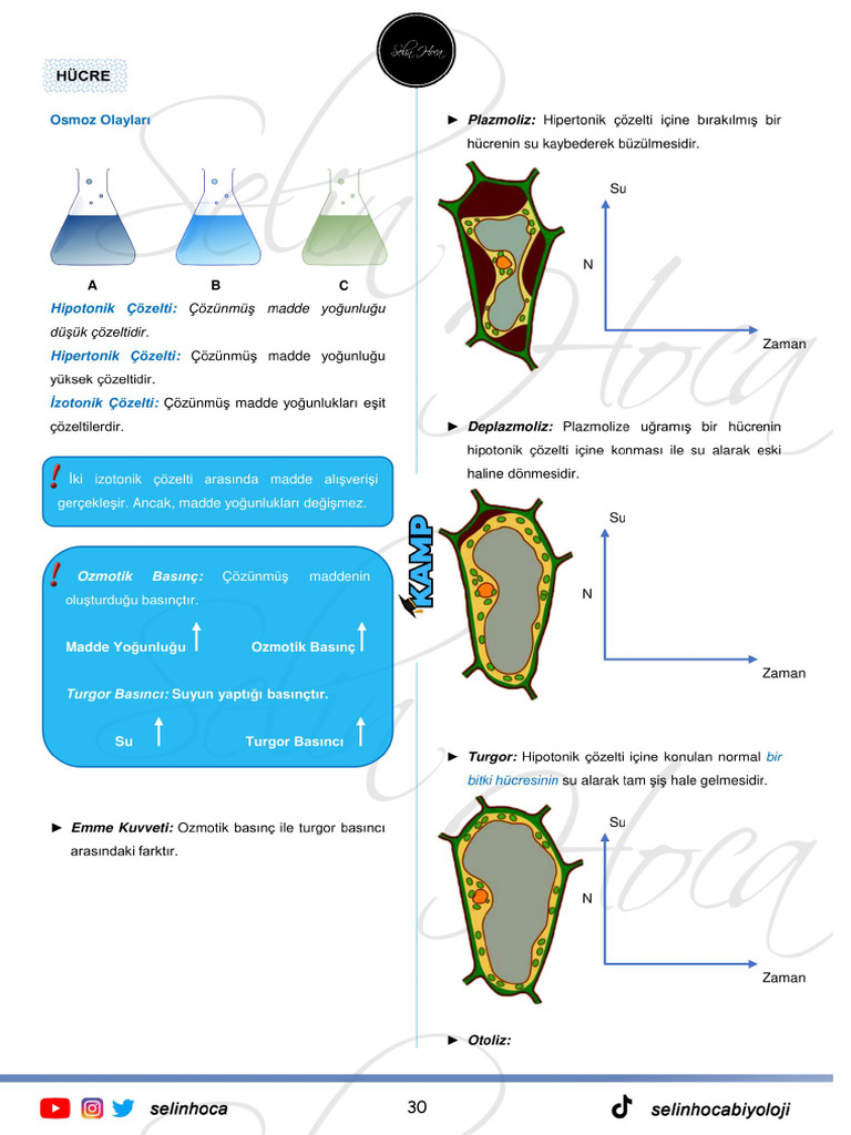Kamp 2025 Genel Tekrar | PDF