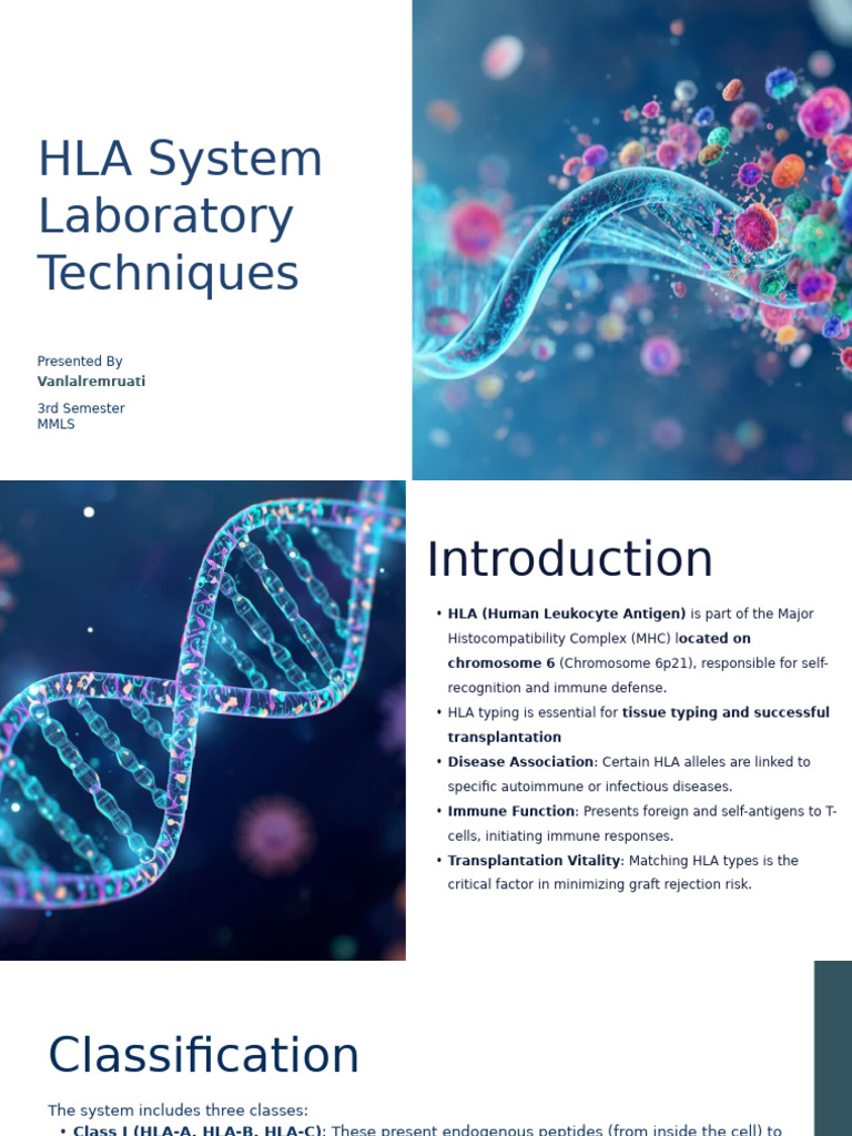 HLA System | PDF | Human Leukocyte Antigen | Transplant Rejection