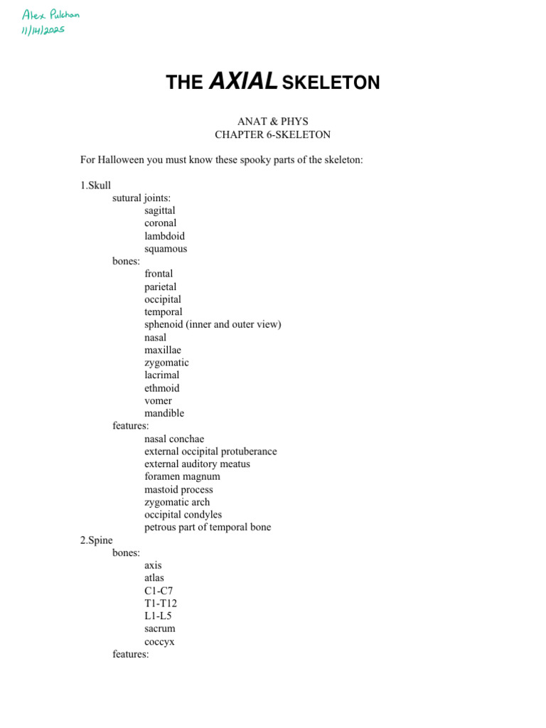 The Axial Skeleton | PDF