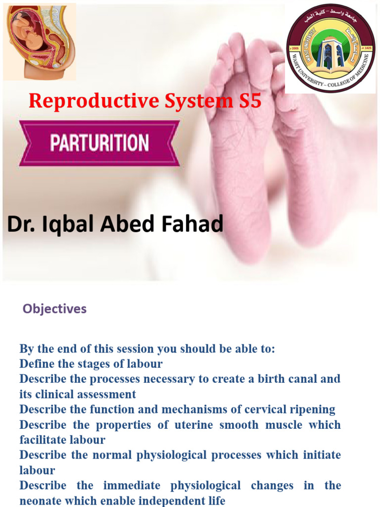 Understanding Stages of Labour and Parturition | PDF | Childbirth | Uterus