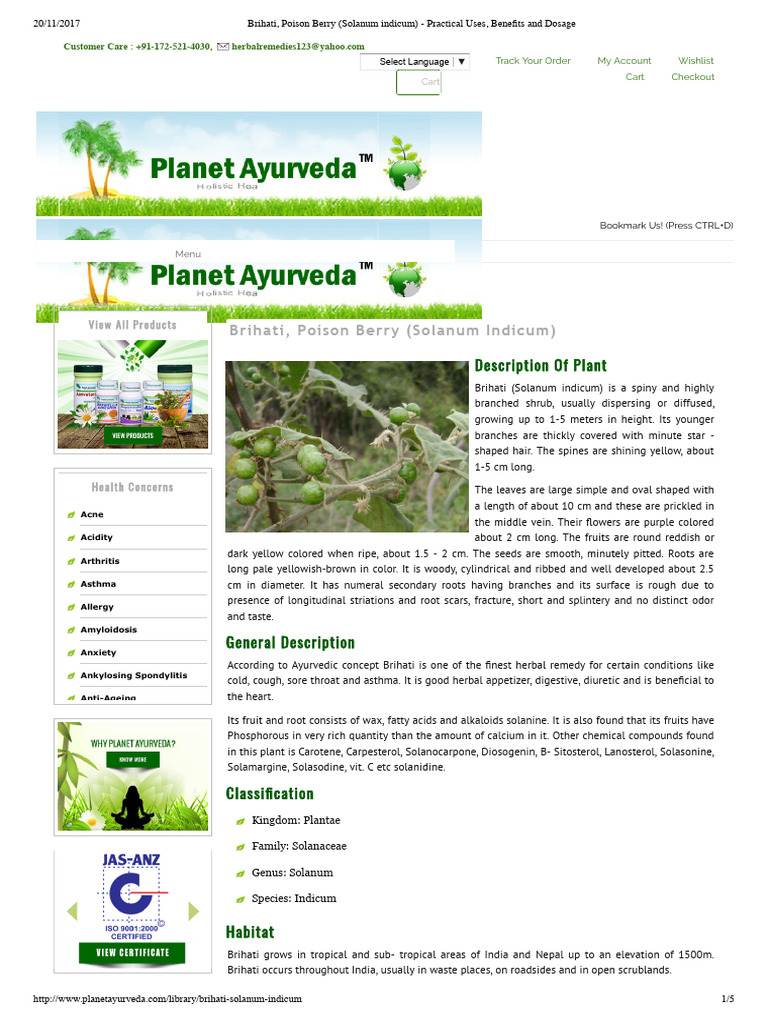 Brihati, Poison Berry (Solanum Indicum) - Practical Uses, Benefits and ...