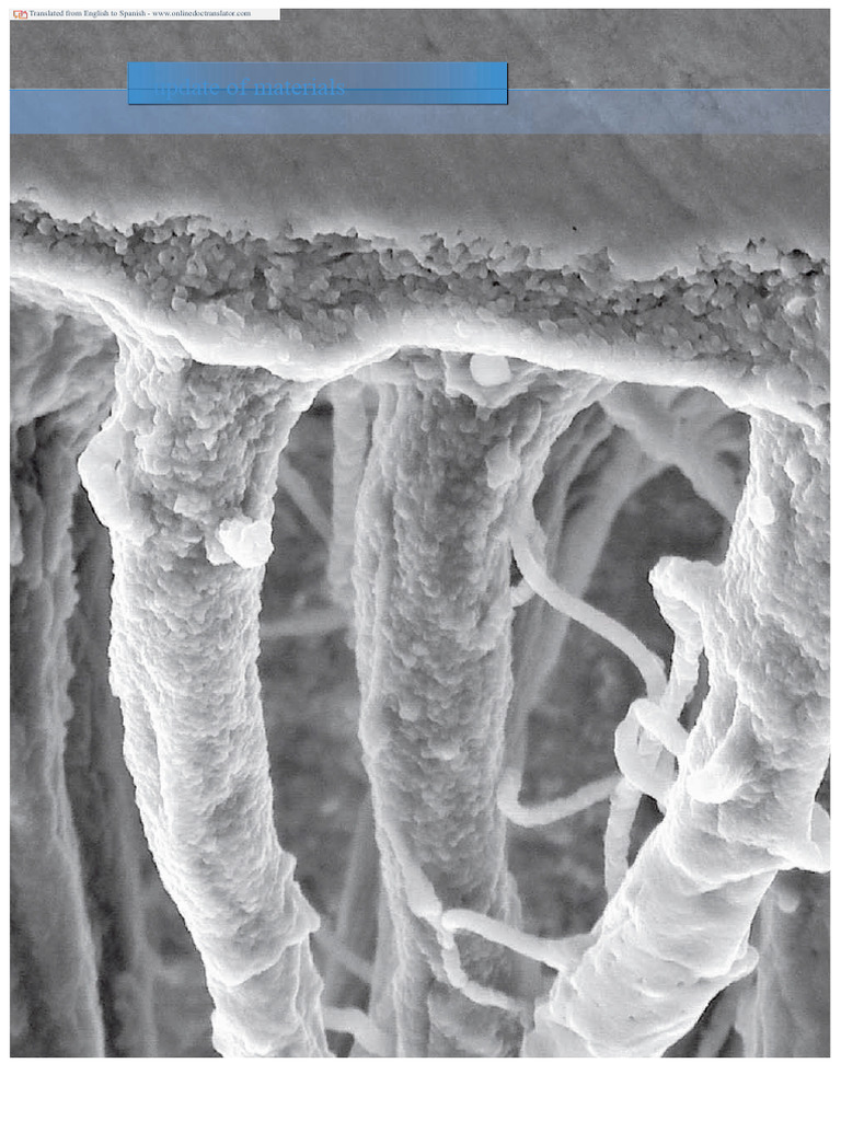 Adhesive Resin Cements For Bonding Esthetic Restorations (Sillas-Duarte ...