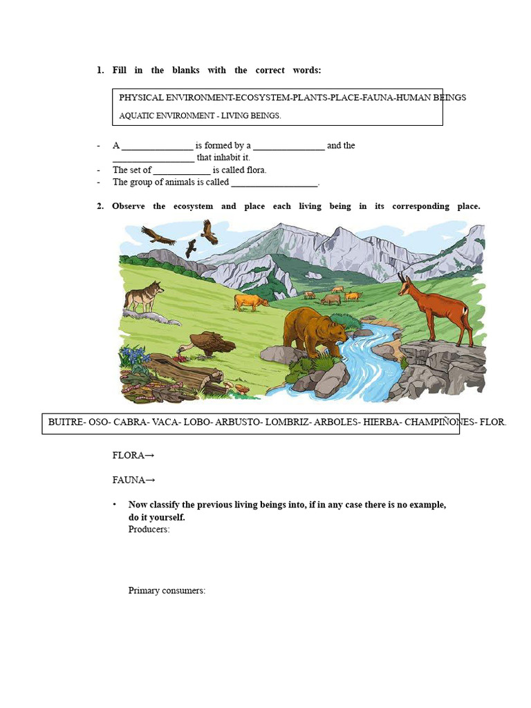 Ecosystem Exercises | PDF | Foods | Ecosystem