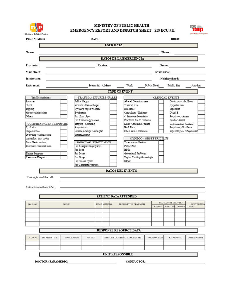 Dispatch Sheet | PDF | Burn | Stroke