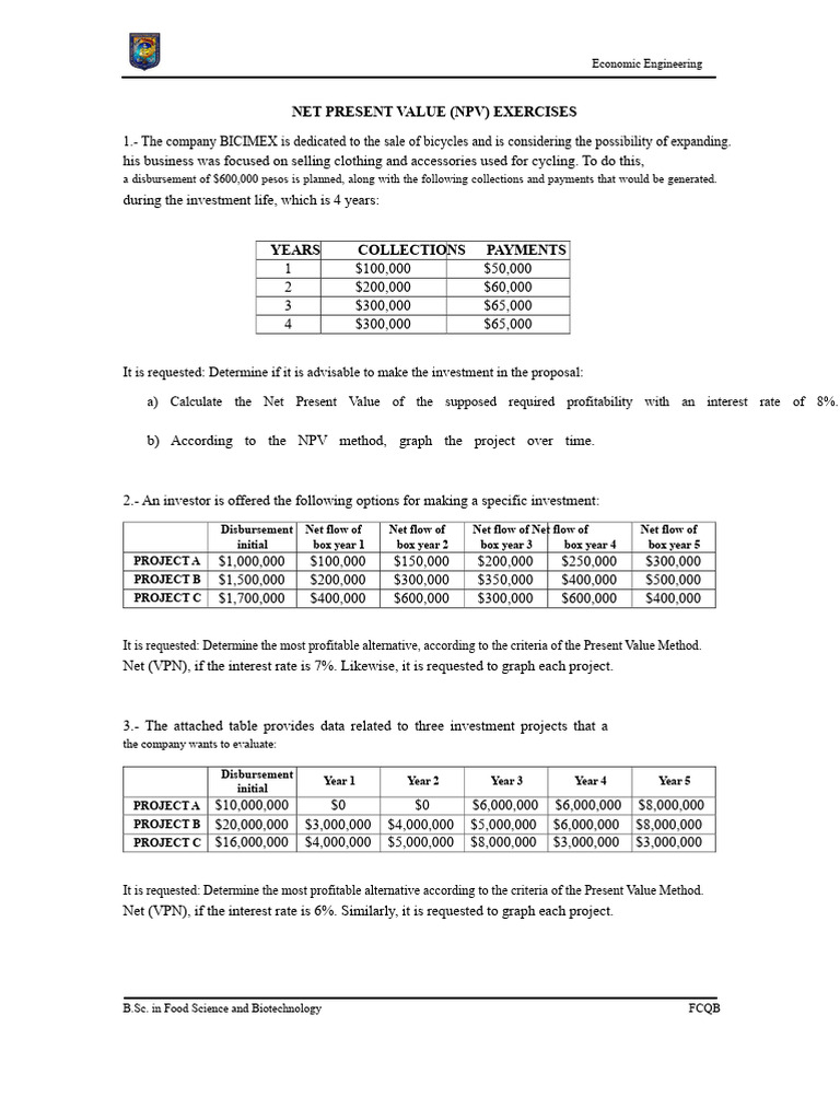 NPV Analysis for Investment Projects | PDF | Net Present Value ...