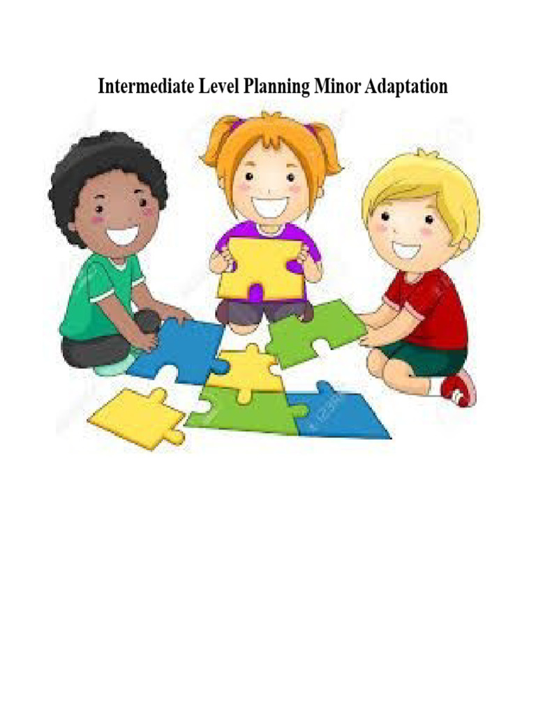 Medium Minor Planning Adaptation B.N.O Document | PDF | Communication ...