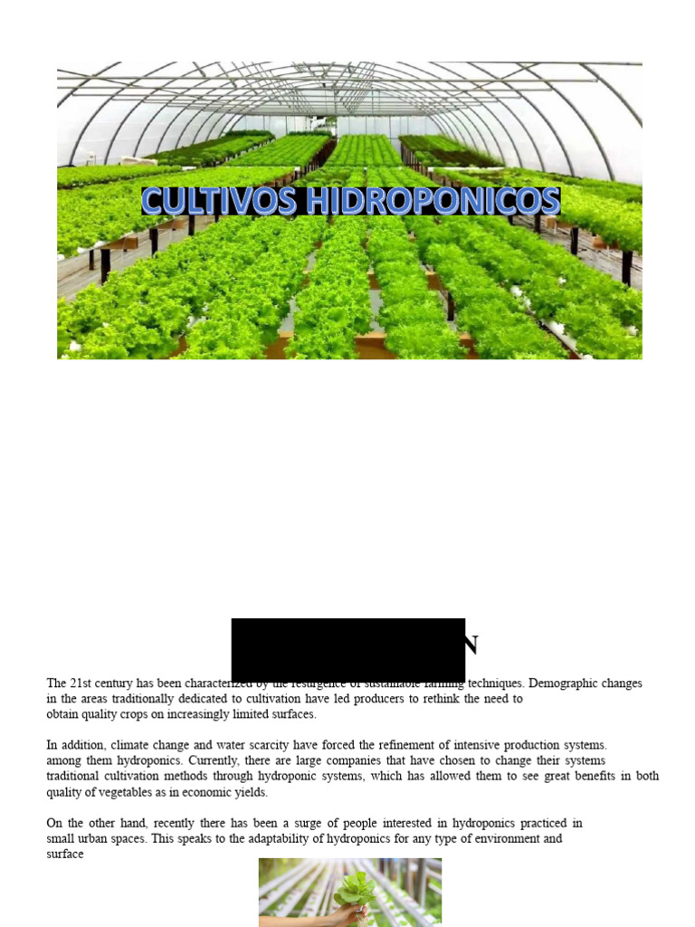 HYDROPONICS | PDF | Hydroponics | Agriculture