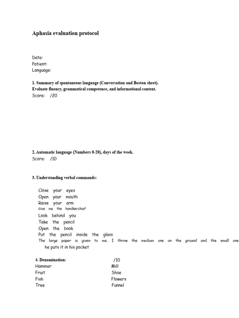 Aphasia Assessment Protocol | PDF
