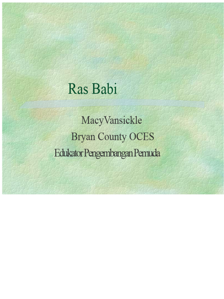 Jenis-Jenis Ras Babi Terkenal | PDF