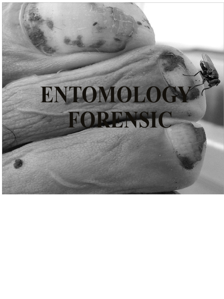 Forensic Entomology | PDF | Fly | Entomology